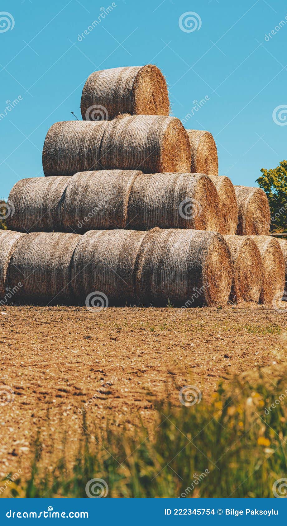 Stack And Piles Of Coins Stock Photo | CartoonDealer.com #136793346