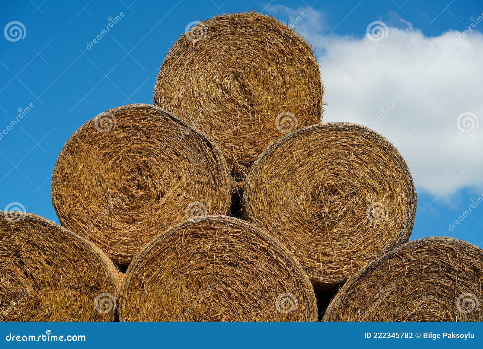 Hay Stack Piles in Nature stock photo. Image of life - 222345782