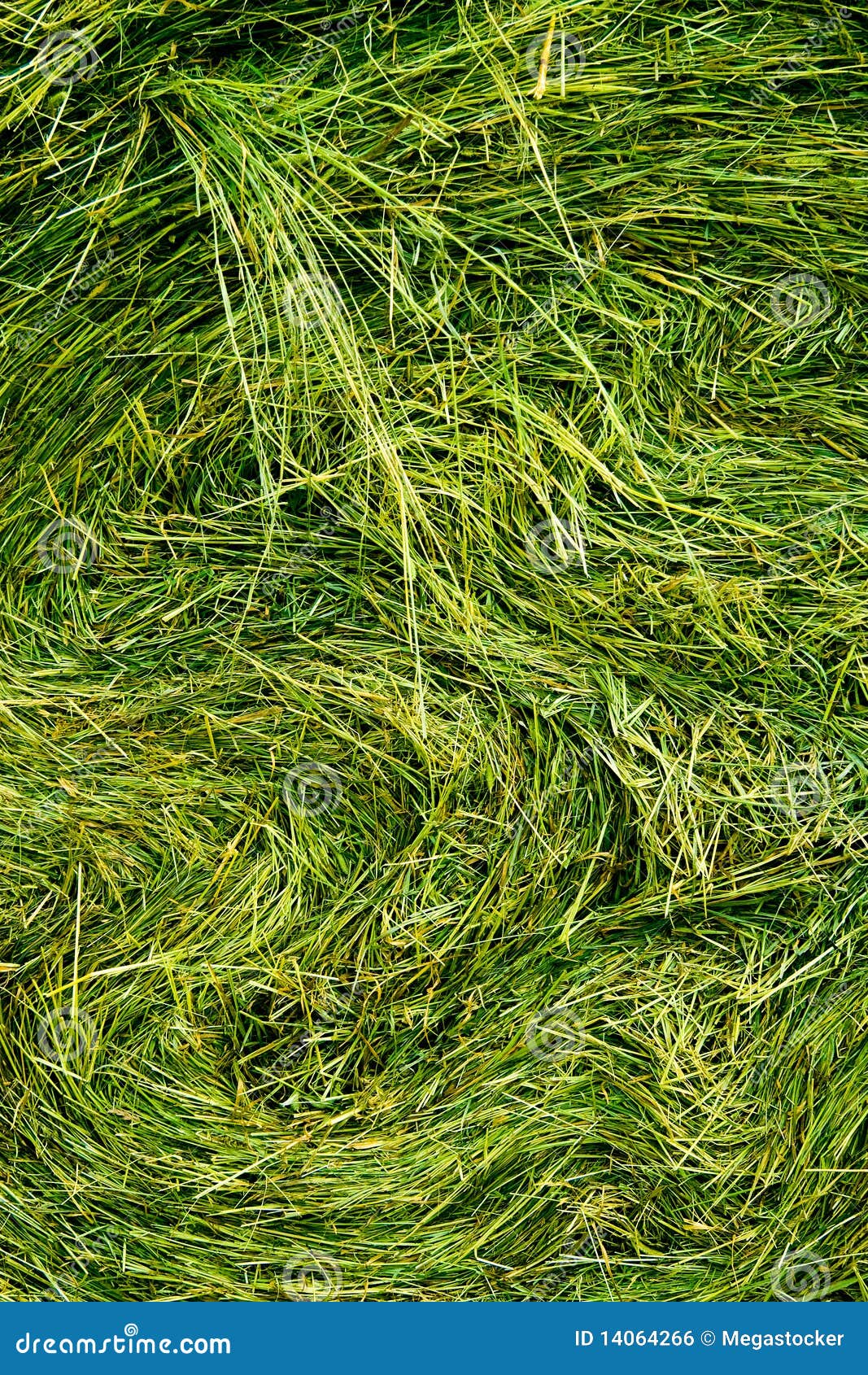 Hay stack texture stock photo. Image of stack, background - 14064266