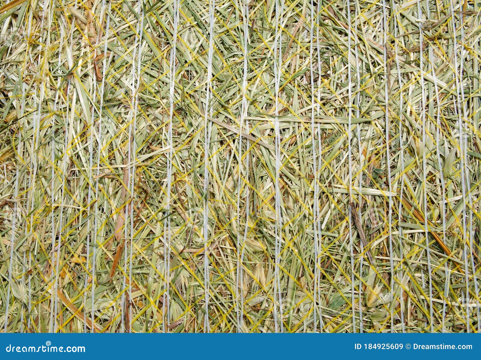 Hay stack texture close up stock image. Image of fresh - 184925609