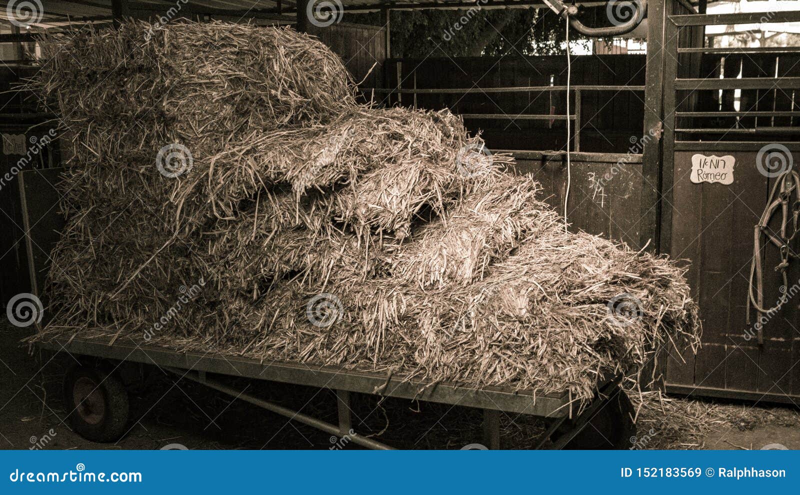 A Hay Stack To Feed the Horses Stock Image - Image of stable, stalls ...
