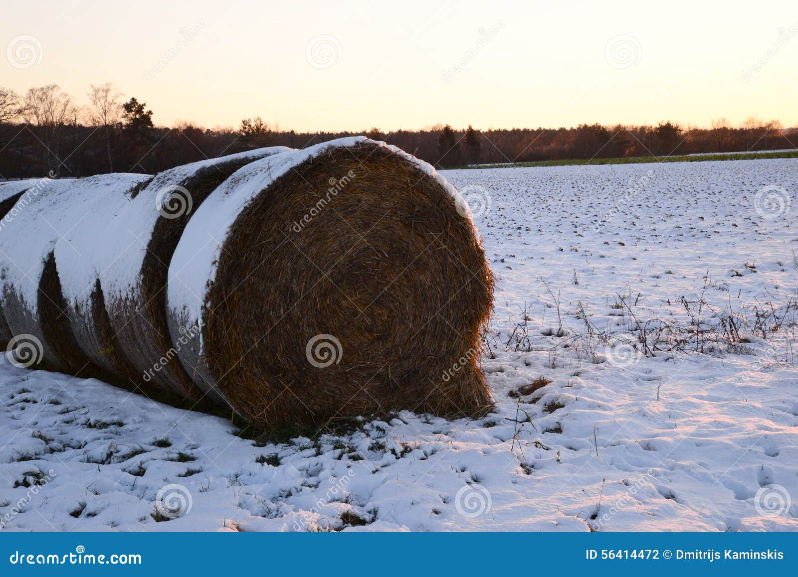 Hay stack in winter stock photo. Image of landscape, farming - 56414472