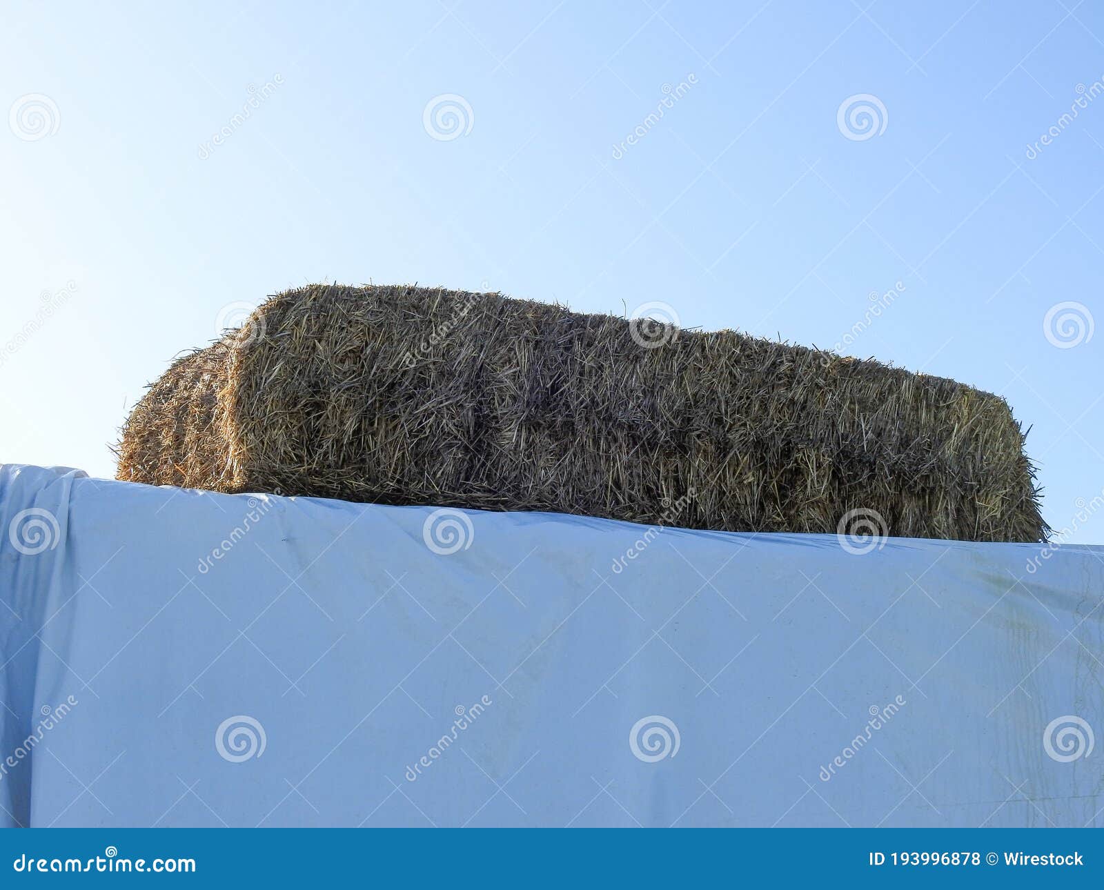 Hay Stacked on a Construction Covered by White Textile Stock Photo ...
