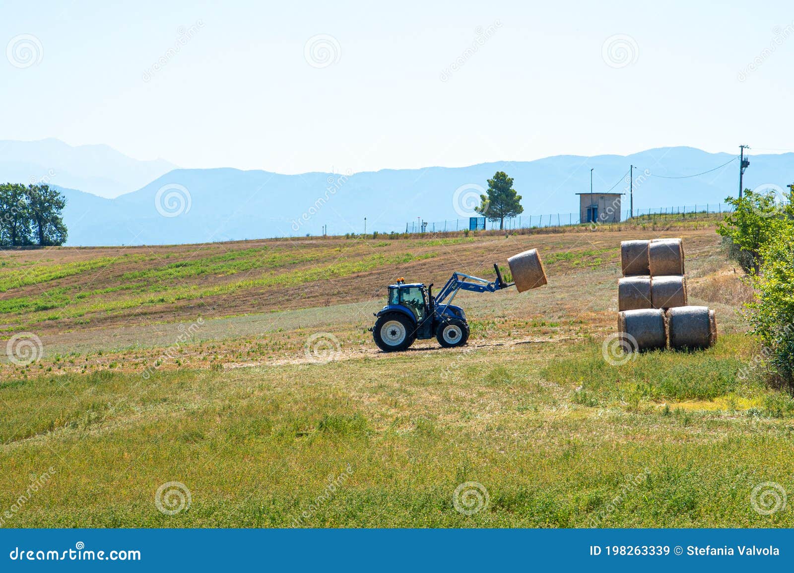 Hay is Stacked by the Tractor. Work in the Countryside Stock Image ...