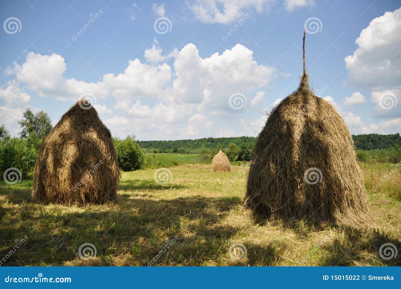 Hay in stacks. stock photo. Image of heavens, landscape - 15015022