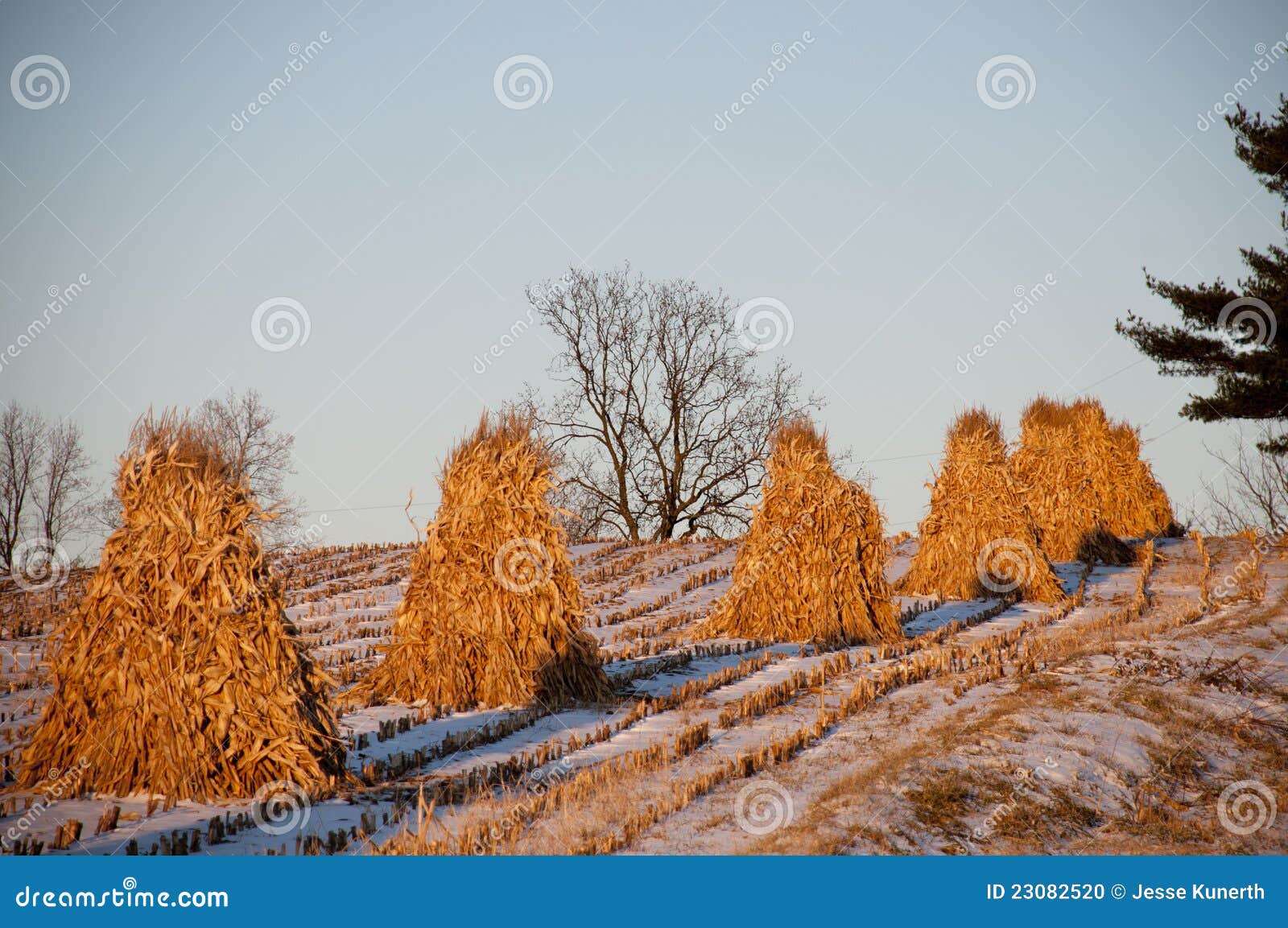 Hay Stacks in Amish Country Stock Photo - Image of ohio, stacks: 23082520