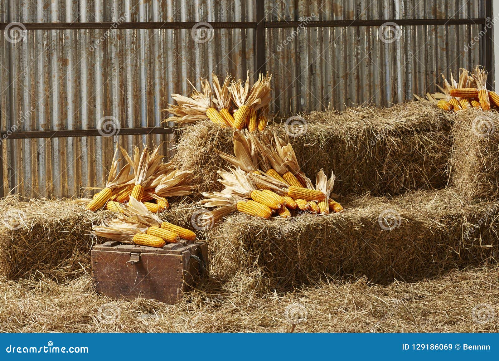 Corn stark in barn house stock image. Image of ancient - 129186069