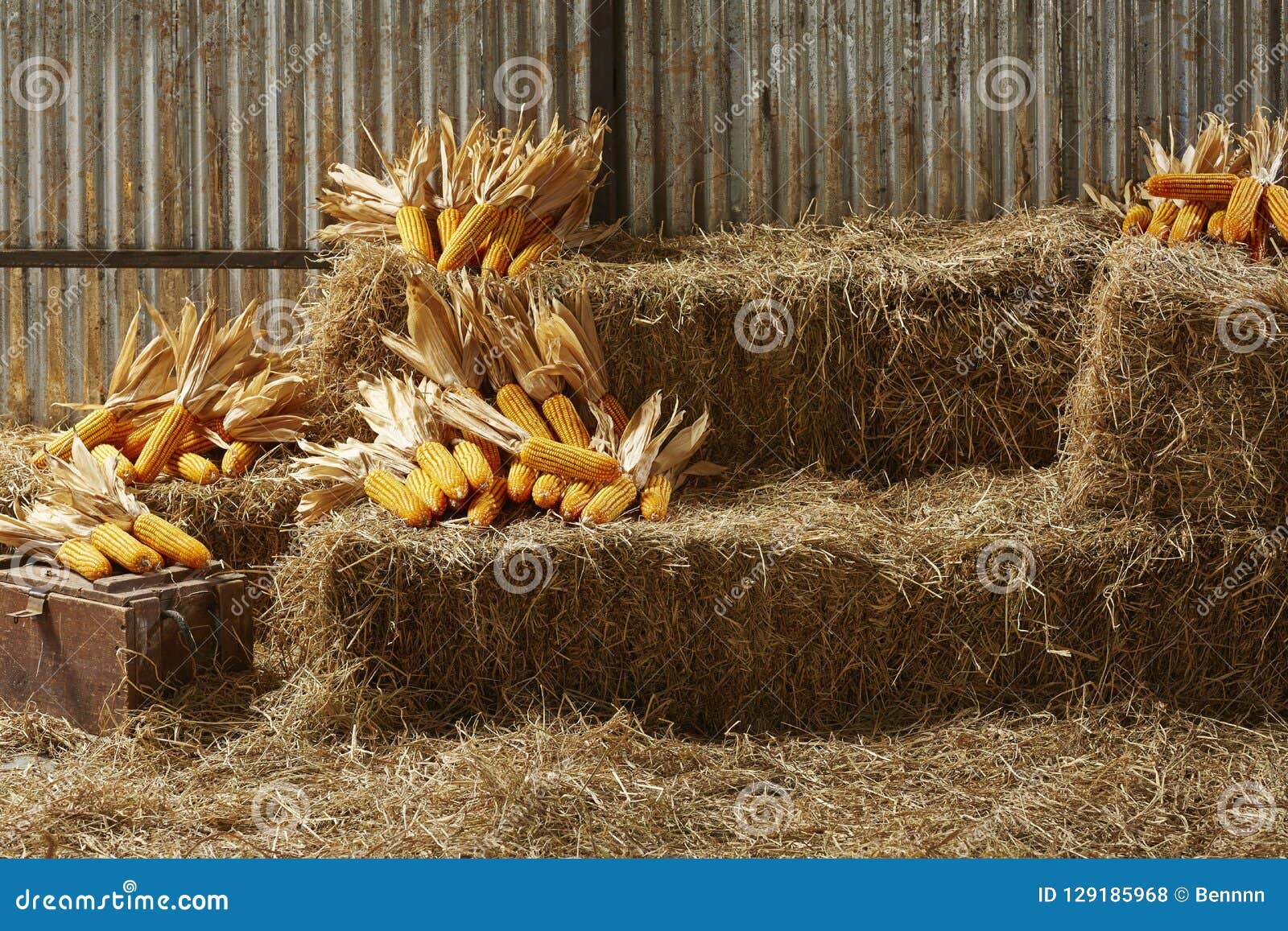 Corn Stark In Barn House Royalty-Free Stock Photo | CartoonDealer.com ...