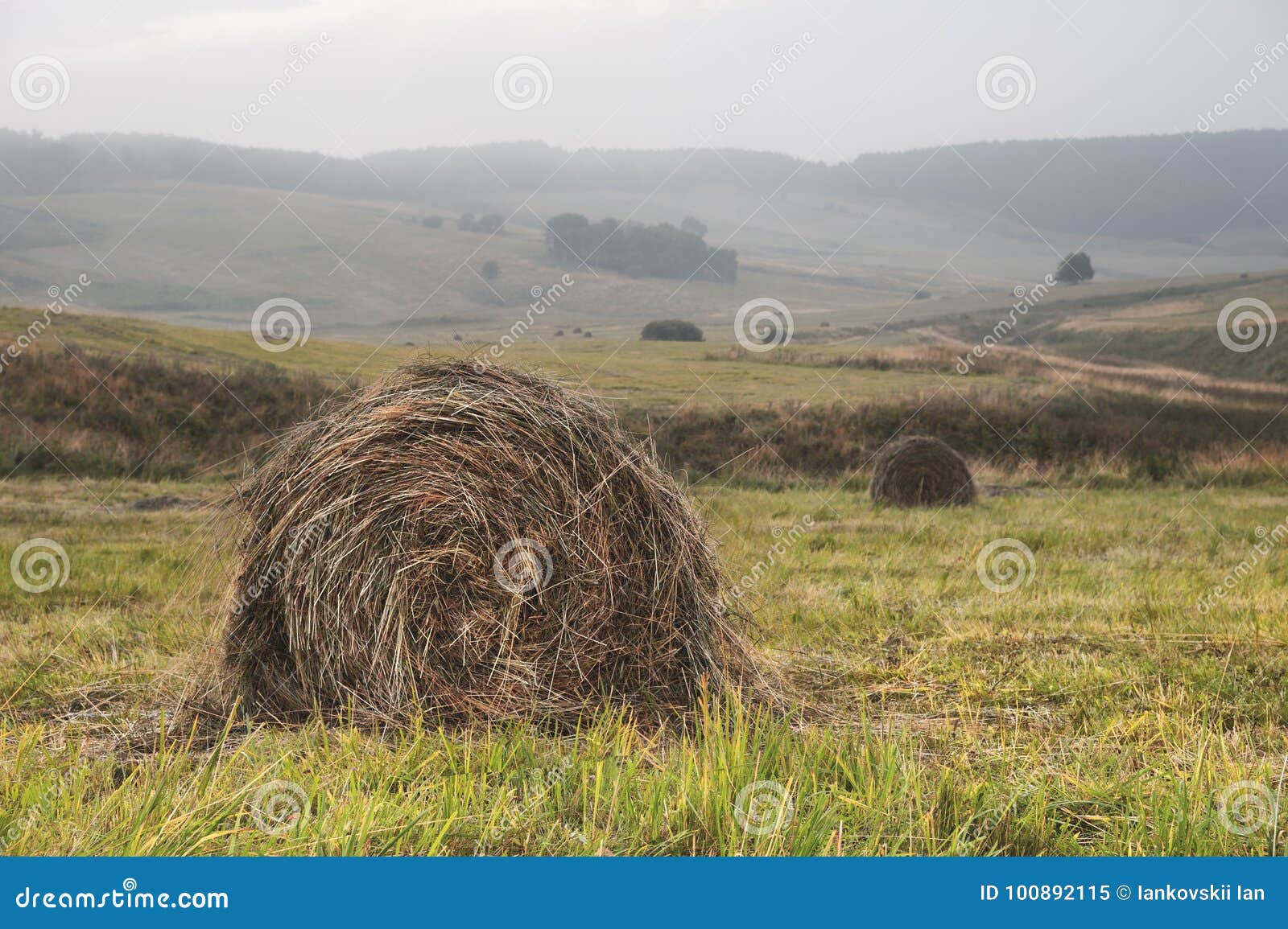 Hay in the Stacks on the Field. Caucasian Landscape Stock Image - Image ...