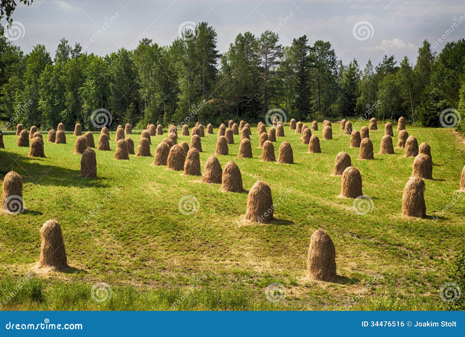 Hay stacks stock photo. Image of country, blue, circle - 34476516