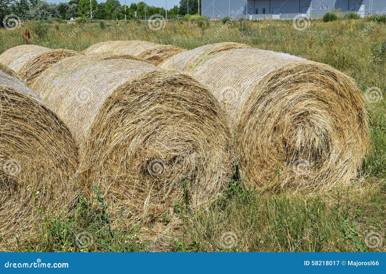 Hay stacks stock image. Image of haystack, blue, plant - 58218017
