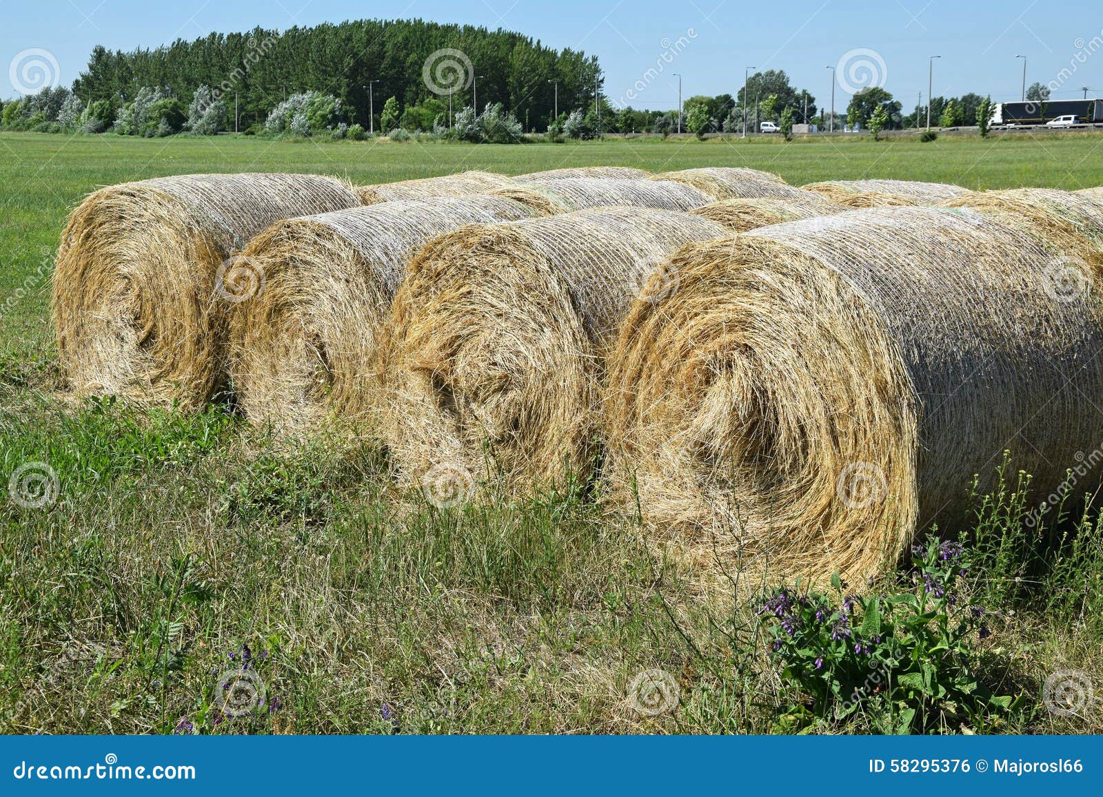 Hay stacks stock photo. Image of stack, focus, landscape - 58295376