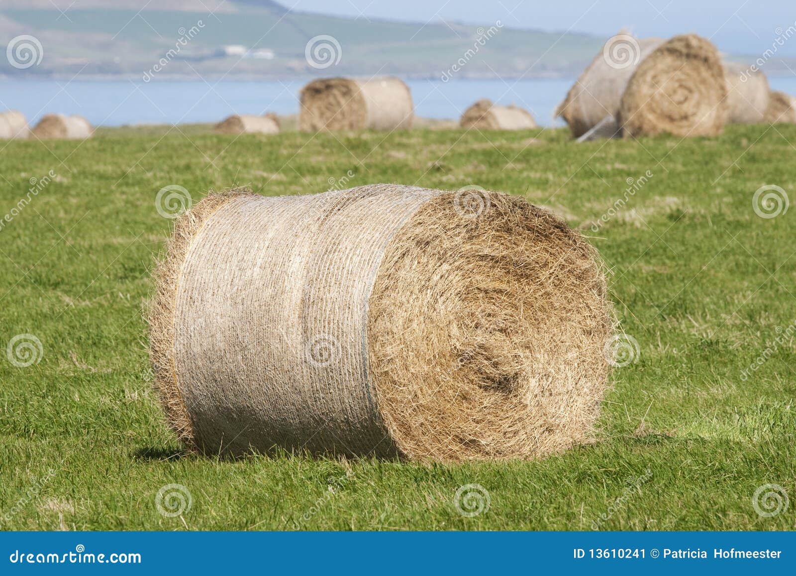 Hay stacks near ocean stock image. Image of roll, prairie - 13610241