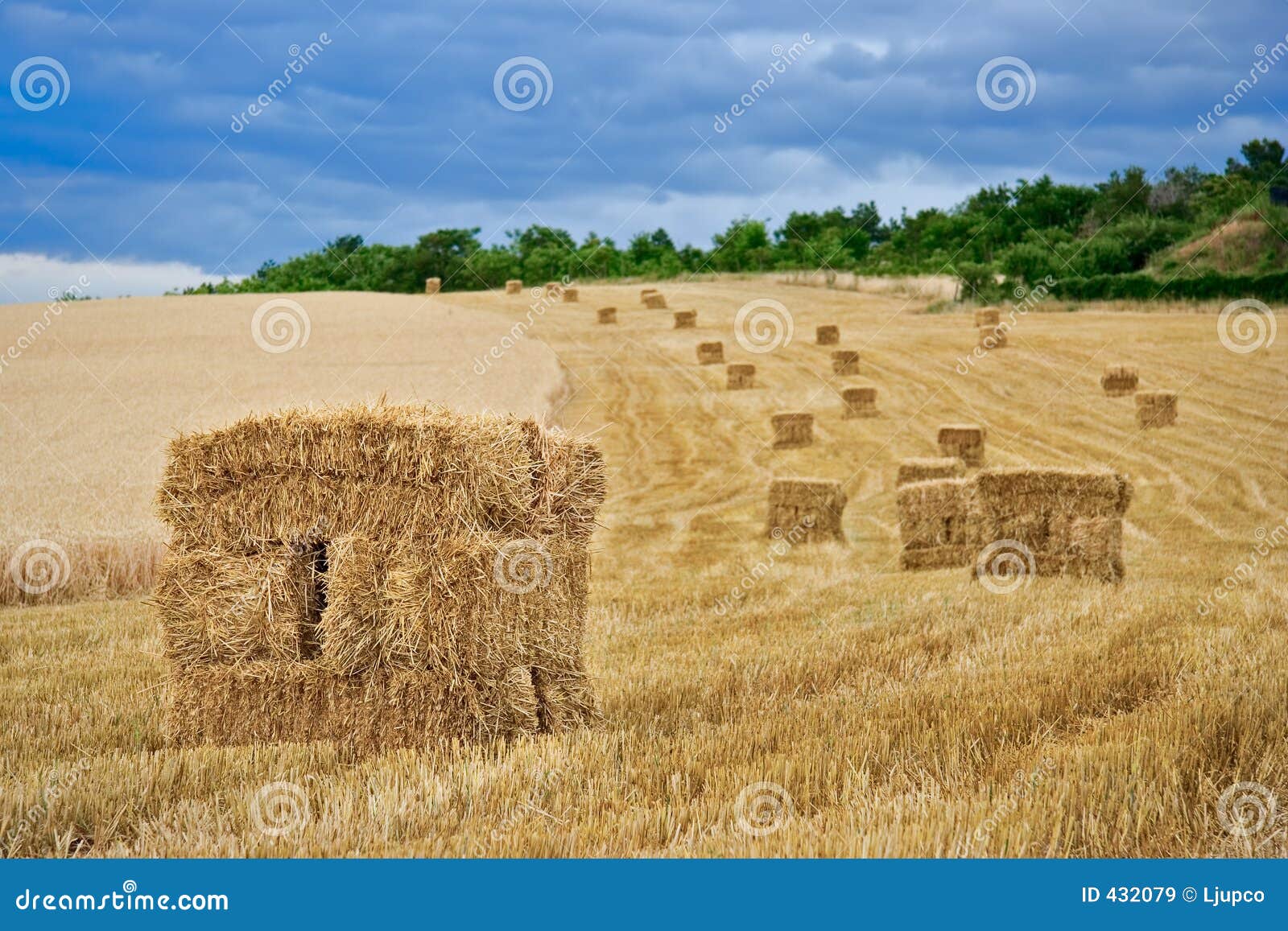 Hay stock stock image. Image of corn, block, harvest, bale - 432079