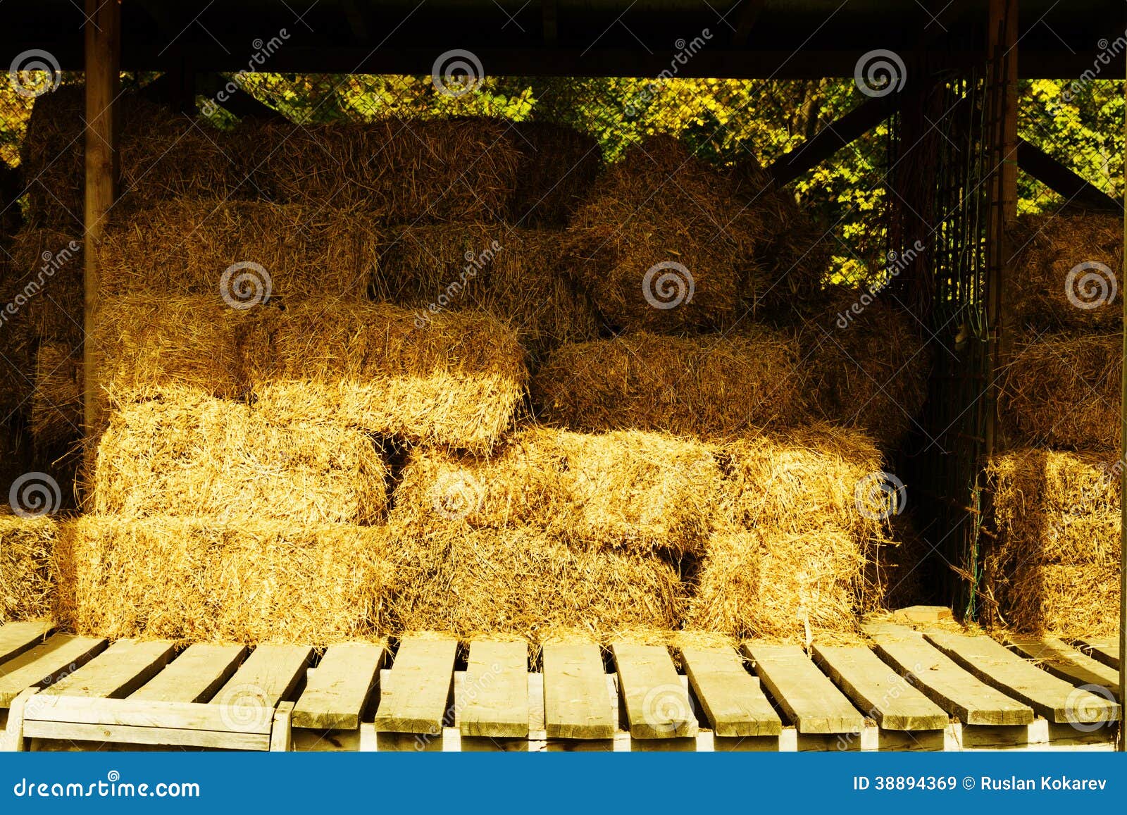 Hay storage. stock image. Image of midday, horizontal - 38894369