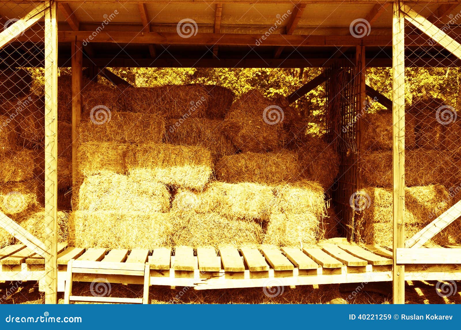 Hay storage. stock image. Image of autumn, yellow, wood - 40221259