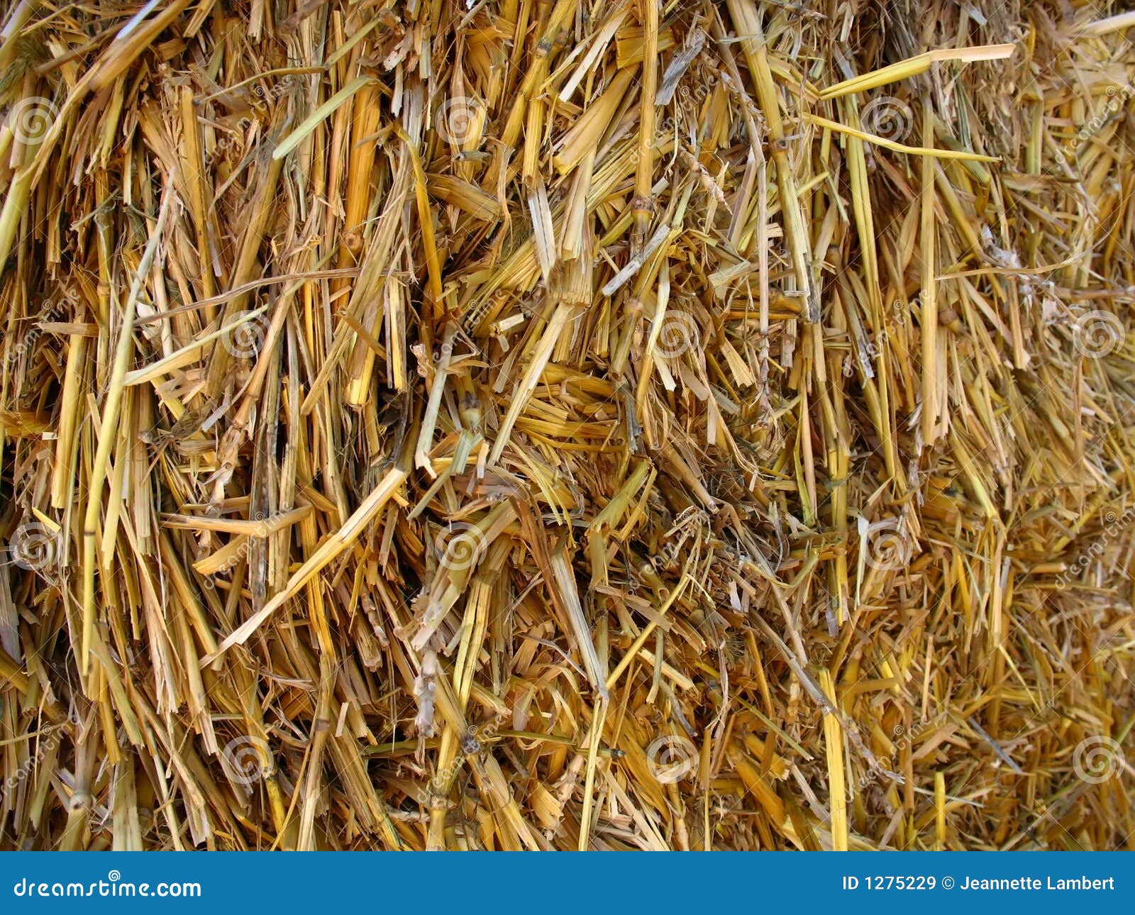 Hay straw background stock image. Image of farming, bale - 1275229