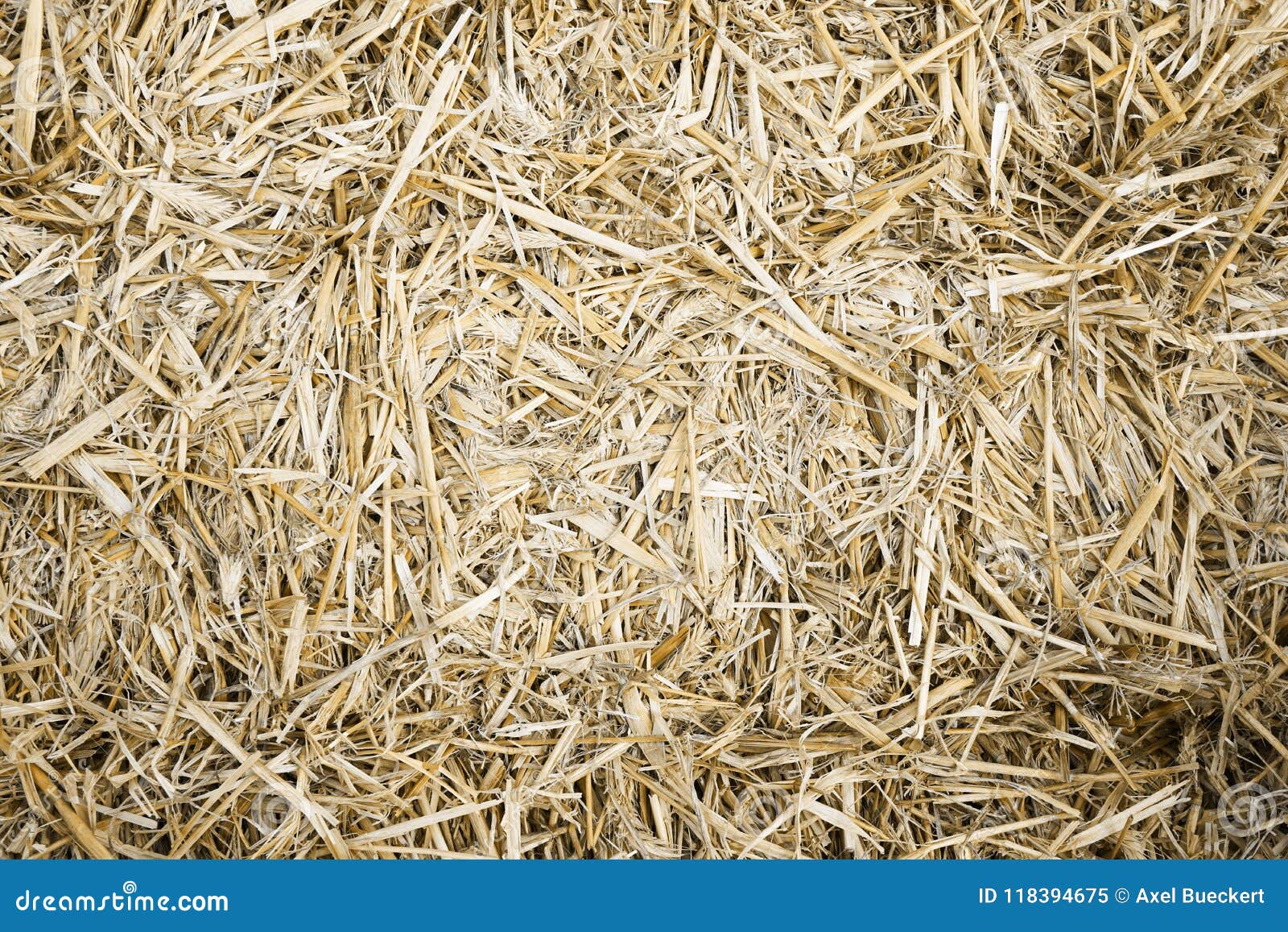 Hay Or Straw Background Texture Royalty-Free Stock Photography ...