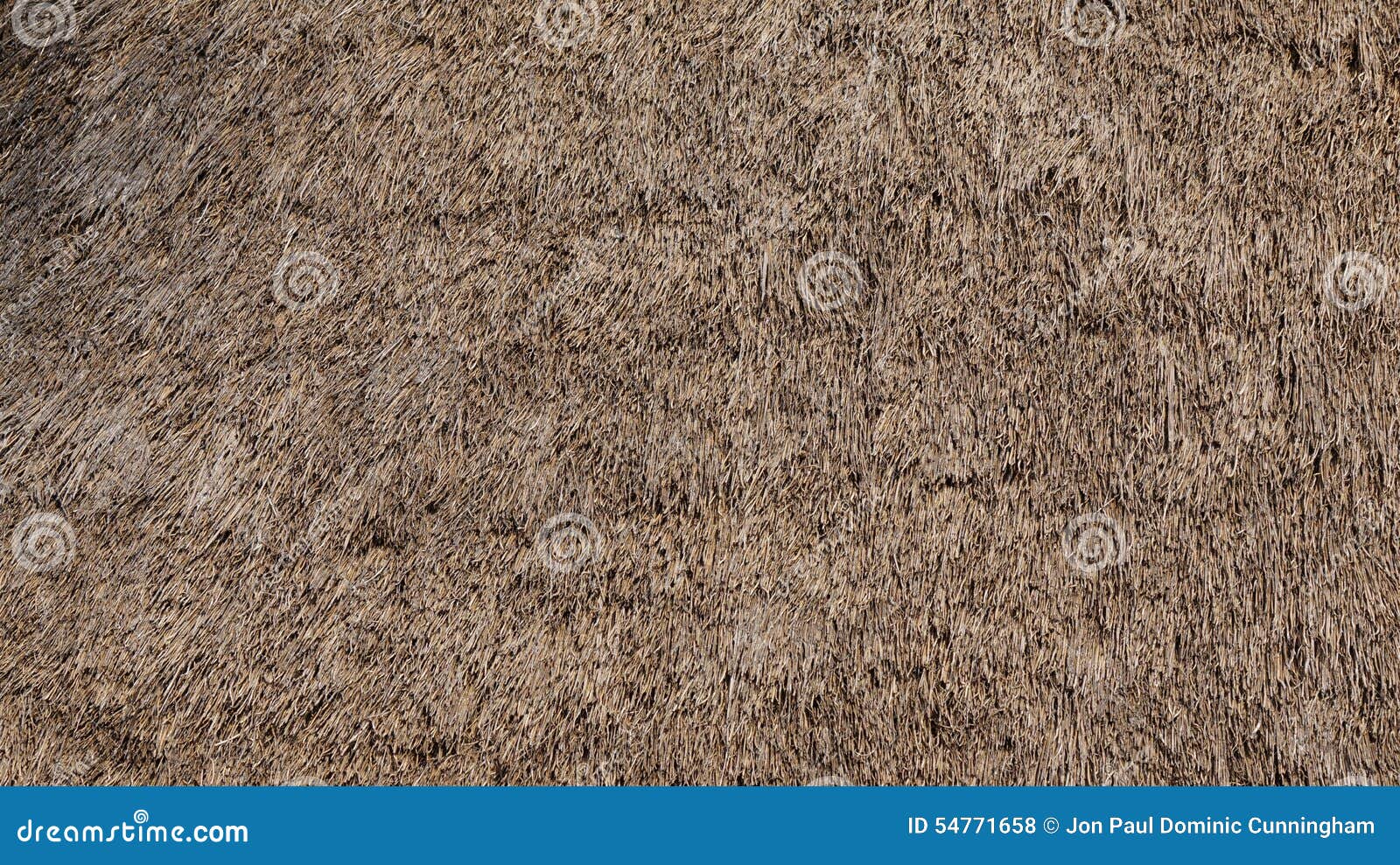 Thatched Roof Texture Seamless
