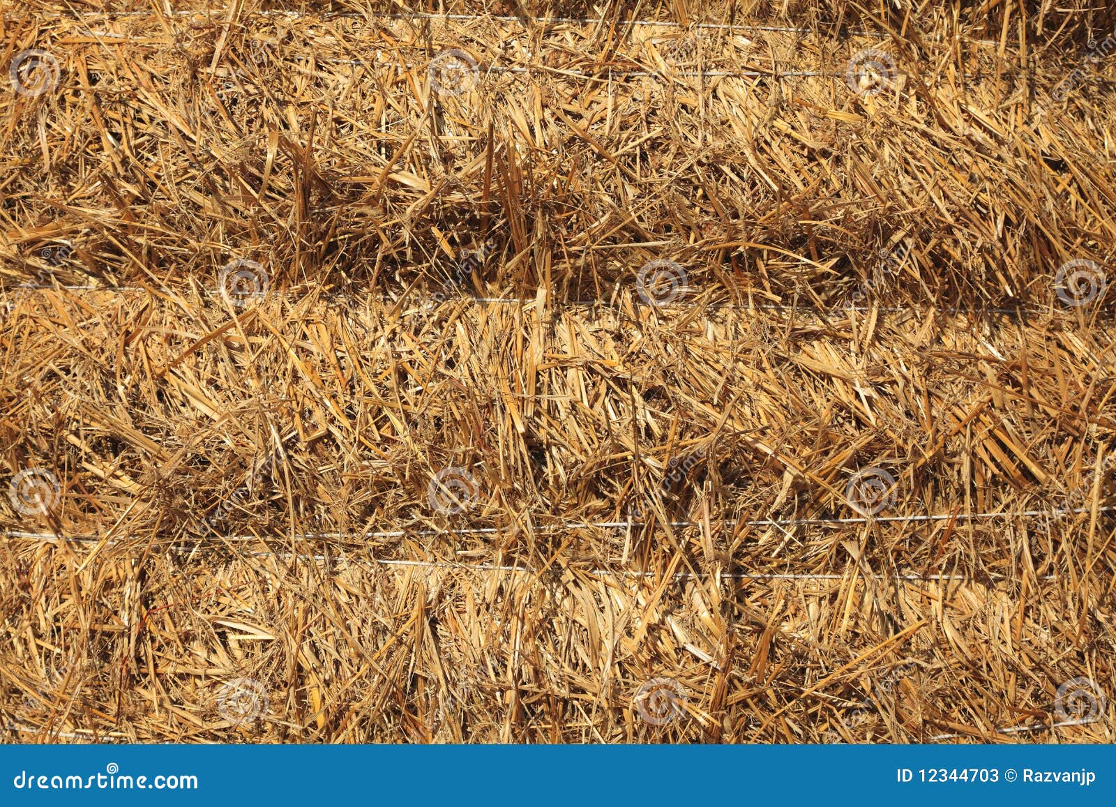 Hay texture stock image. Image of farm, crop, texture - 12344703