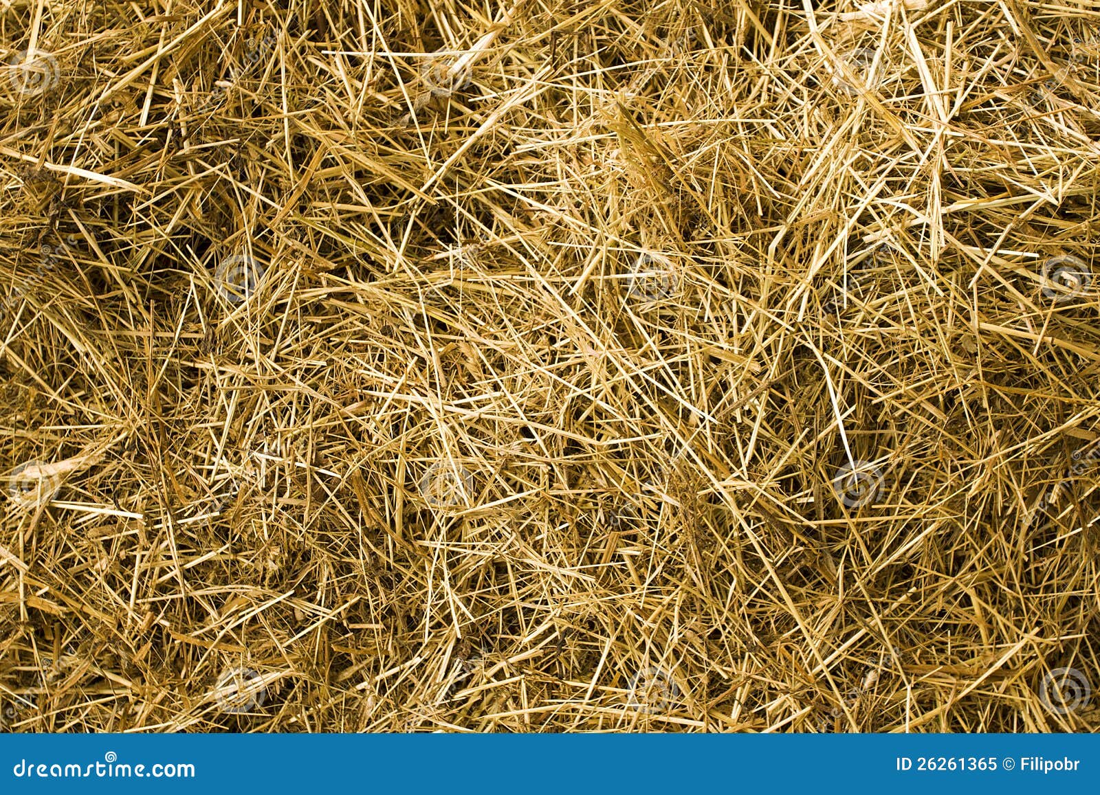 Hay texture stock image. Image of icon, leaf, leafage - 26261365