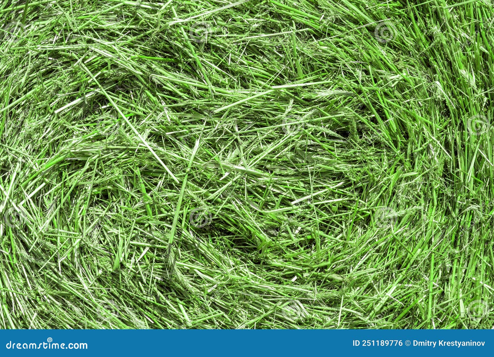 Hay texture stock photo. Image of rural, farmland, bale - 251189776