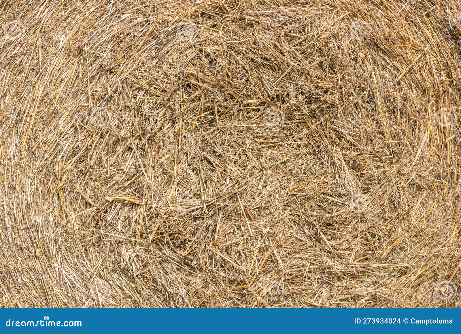 A bale of golden hay stock photo. Image of pattern, wheat - 273934024