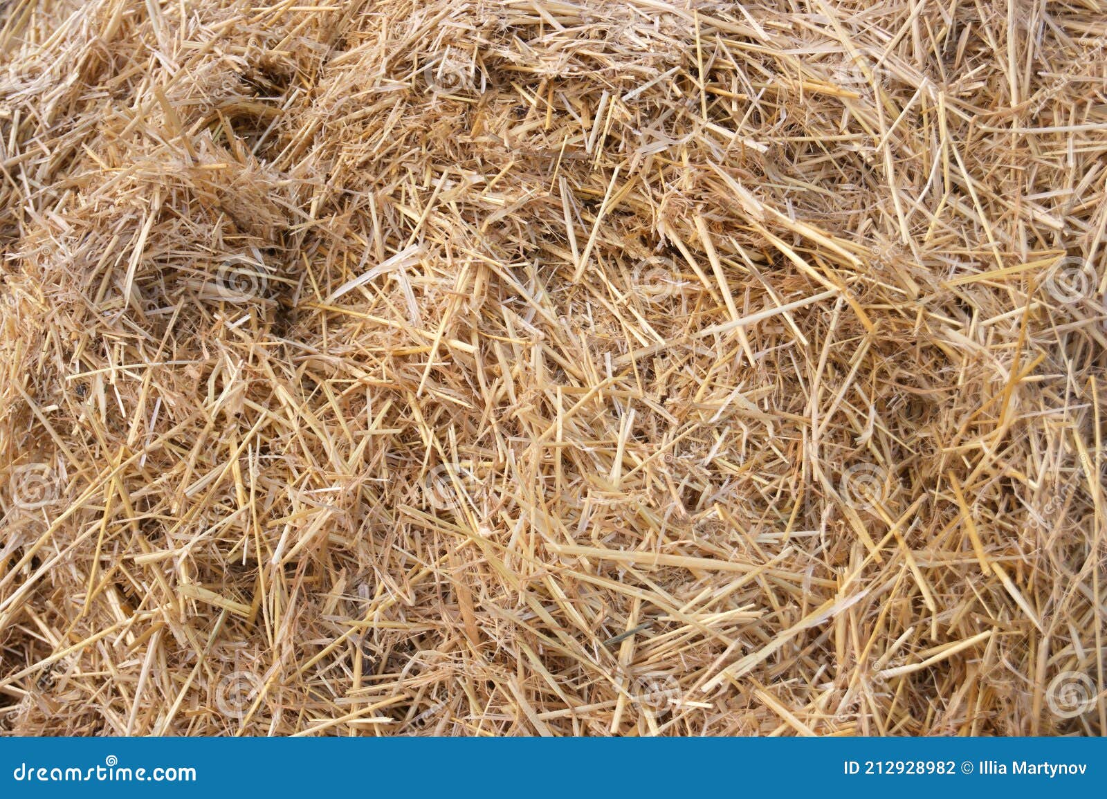 Hay Texture. Hay Bales are Stacked in Large Stacks Stock Photo - Image ...