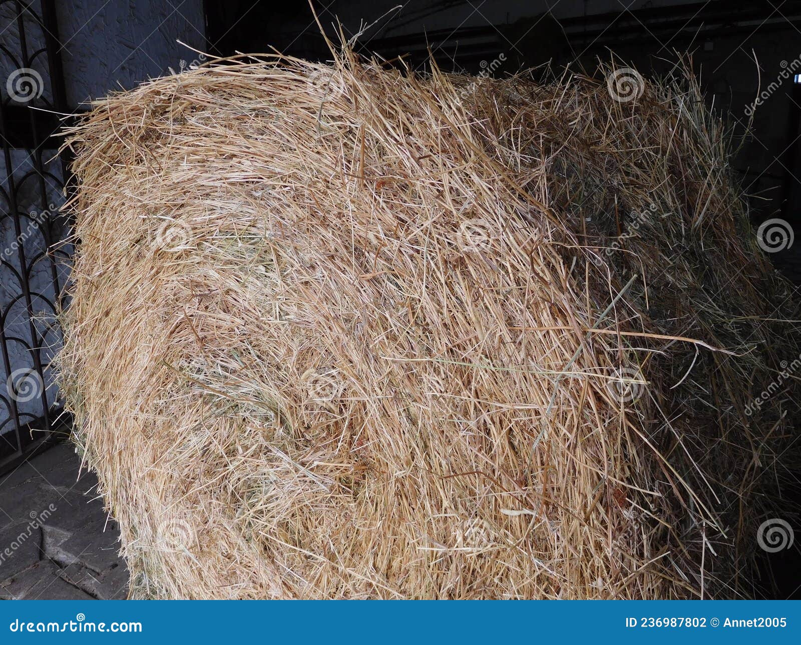 Hay, hayroll close up stock photo. Image of livestock - 236987802