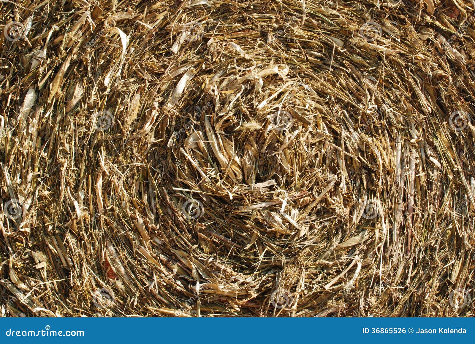 Hay Texture stock photo. Image of texture, straw, circular - 36865526