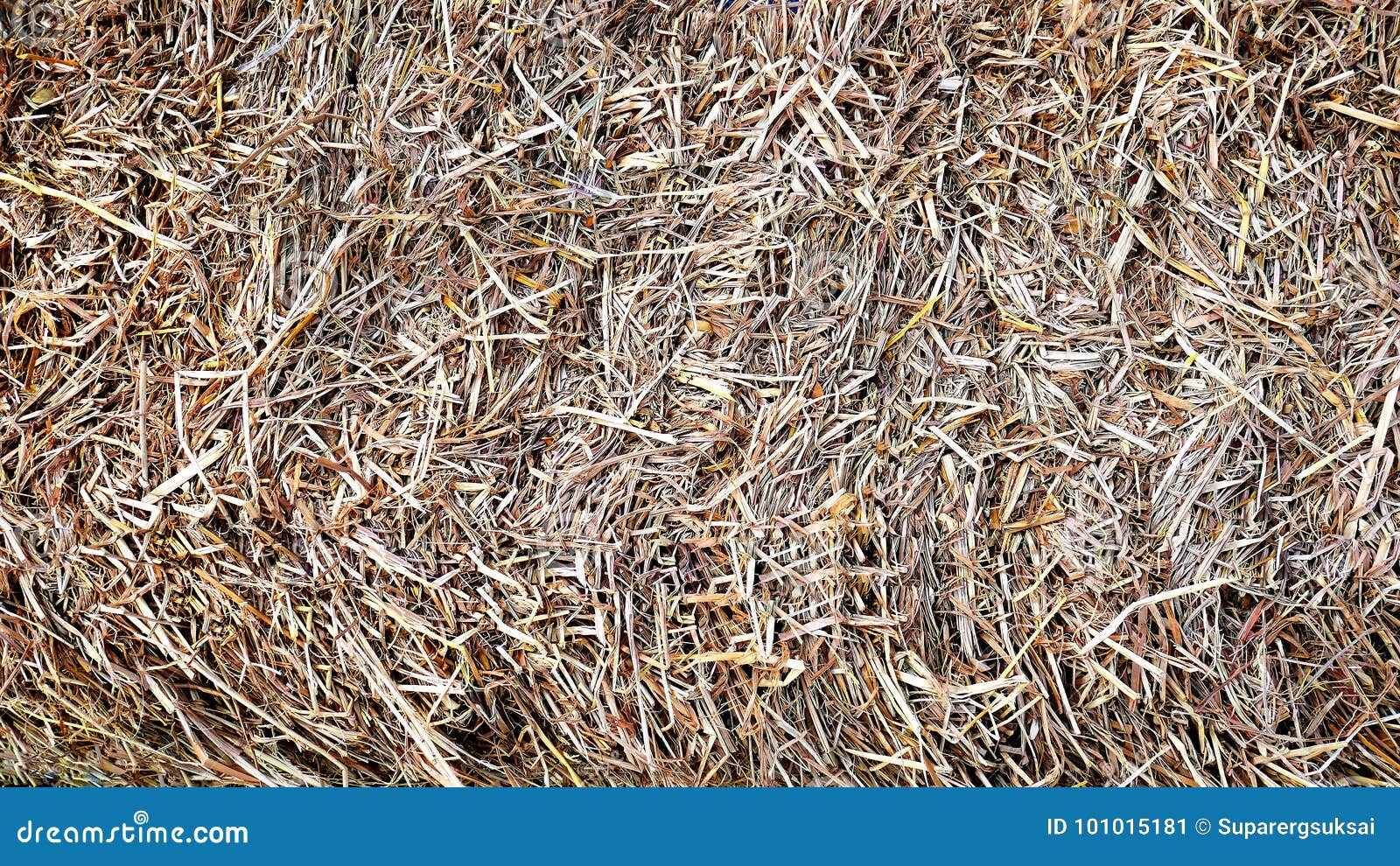 Hay Texture stock image. Image of background, haystack - 101015181