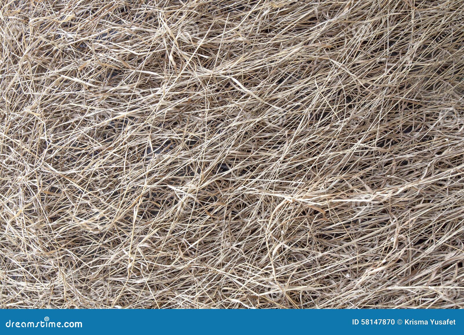 Hay Texture stock photo. Image of brown, hayrick, flower - 58147870