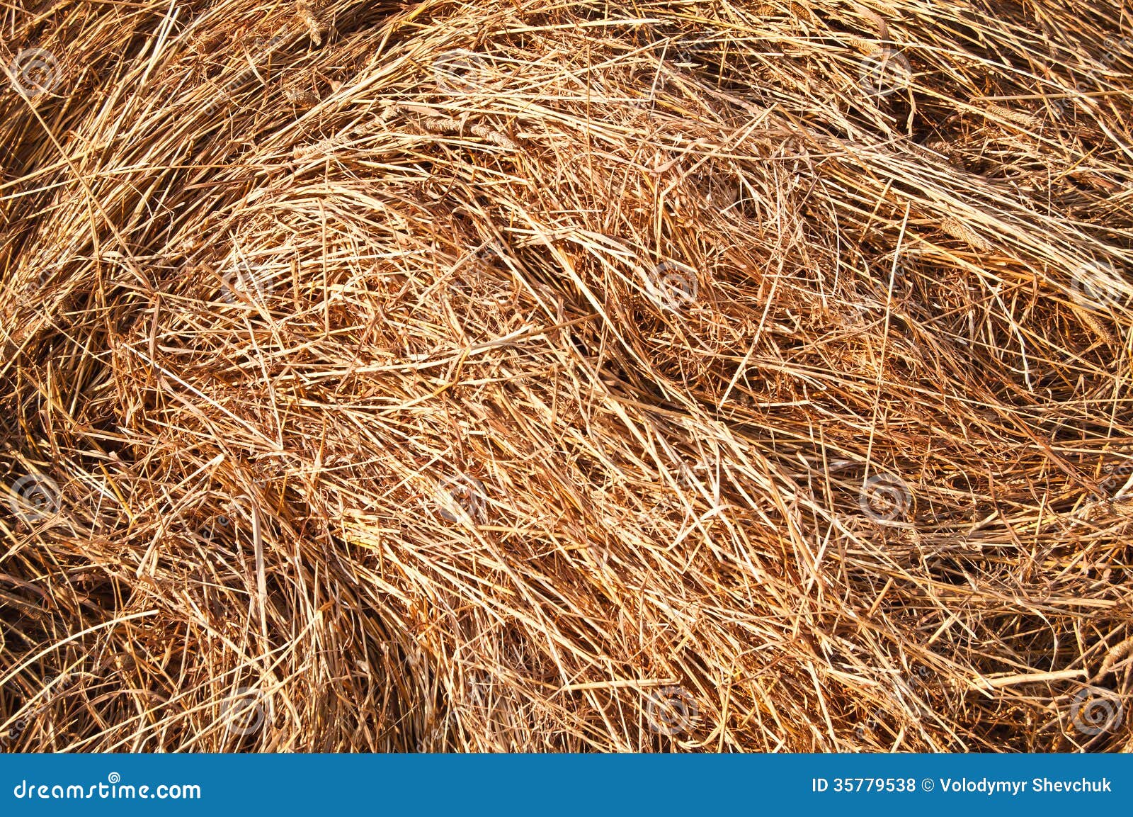 12,011 Dry Hay Texture Stock Photos - Free & Royalty-Free Stock Photos ...