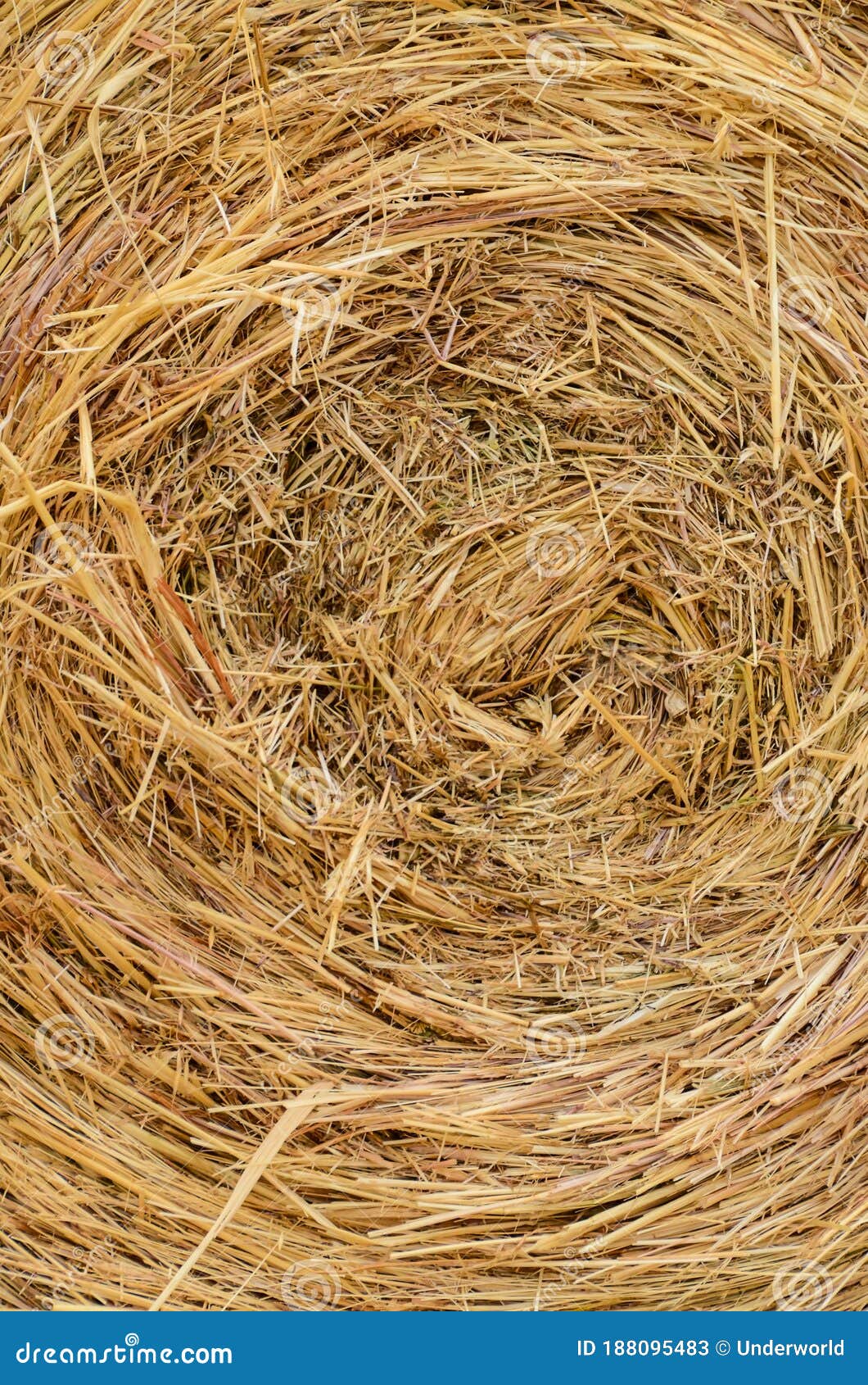 Hay Texture stock image. Image of color, backgroun, grass - 188095483