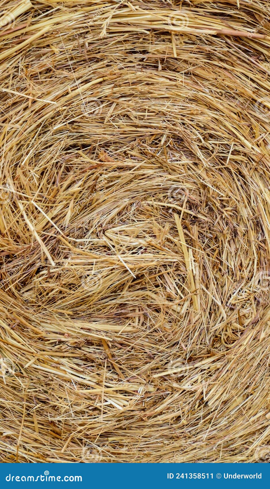 Hay Texture stock image. Image of backgroun, meadow - 241358511