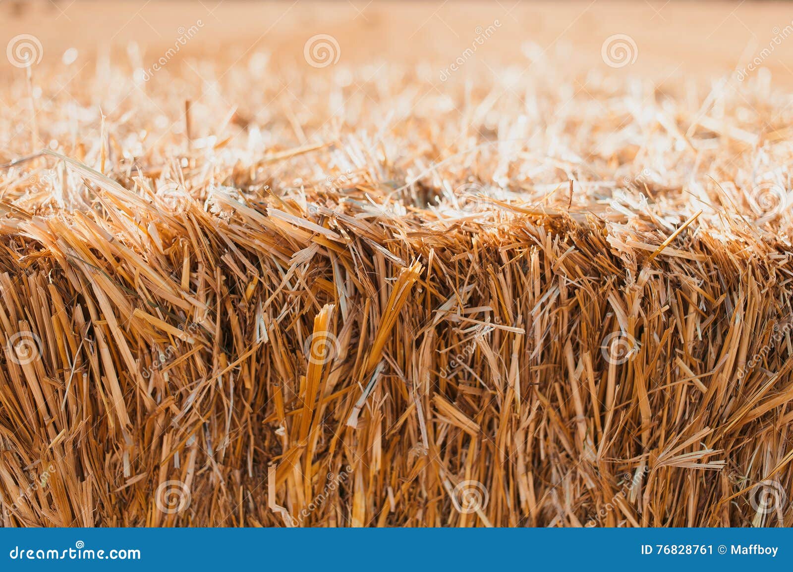Hay texture stock image. Image of harvest, agriculture - 76828761