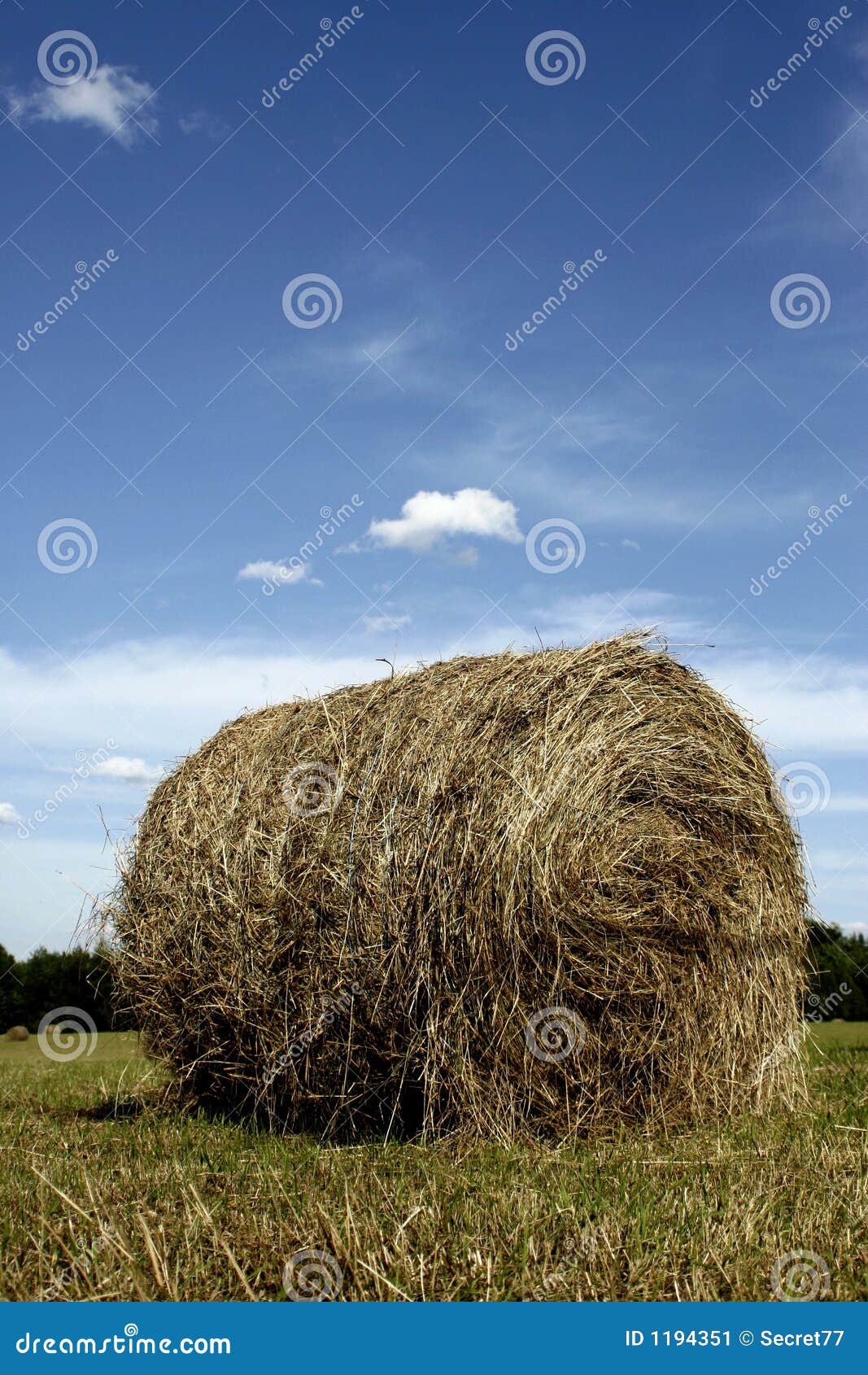 Hay there! stock image. Image of grass, harvest, agriculture - 1194351