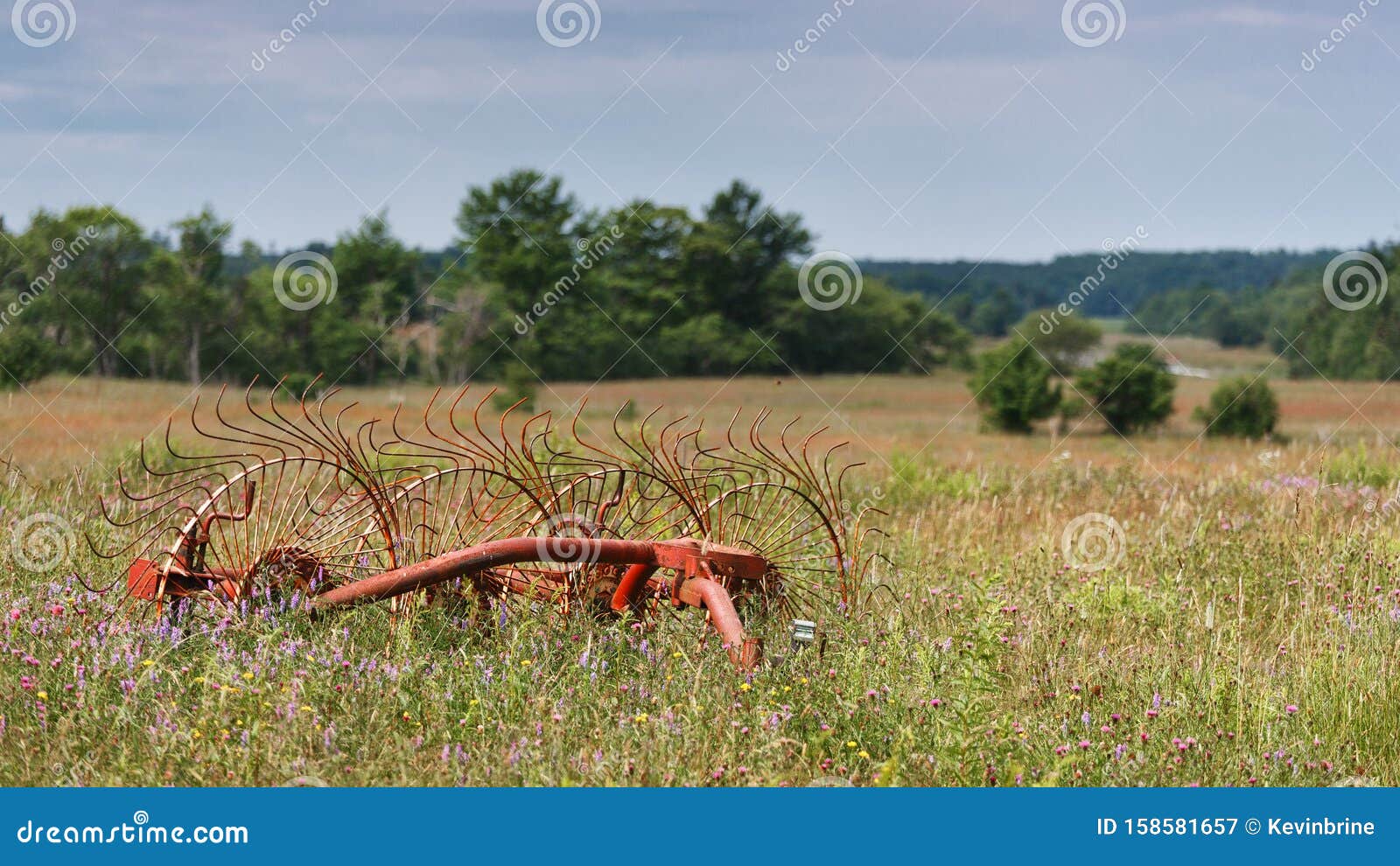 Hay Thrasher stock image. Image of field, harvester - 158581657