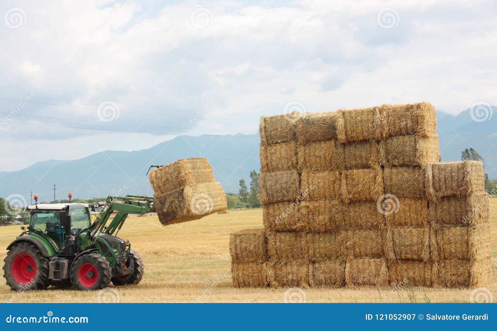 Hay Tractor Stacking Hay Bales on a Big Pile Stock Image - Image of ...