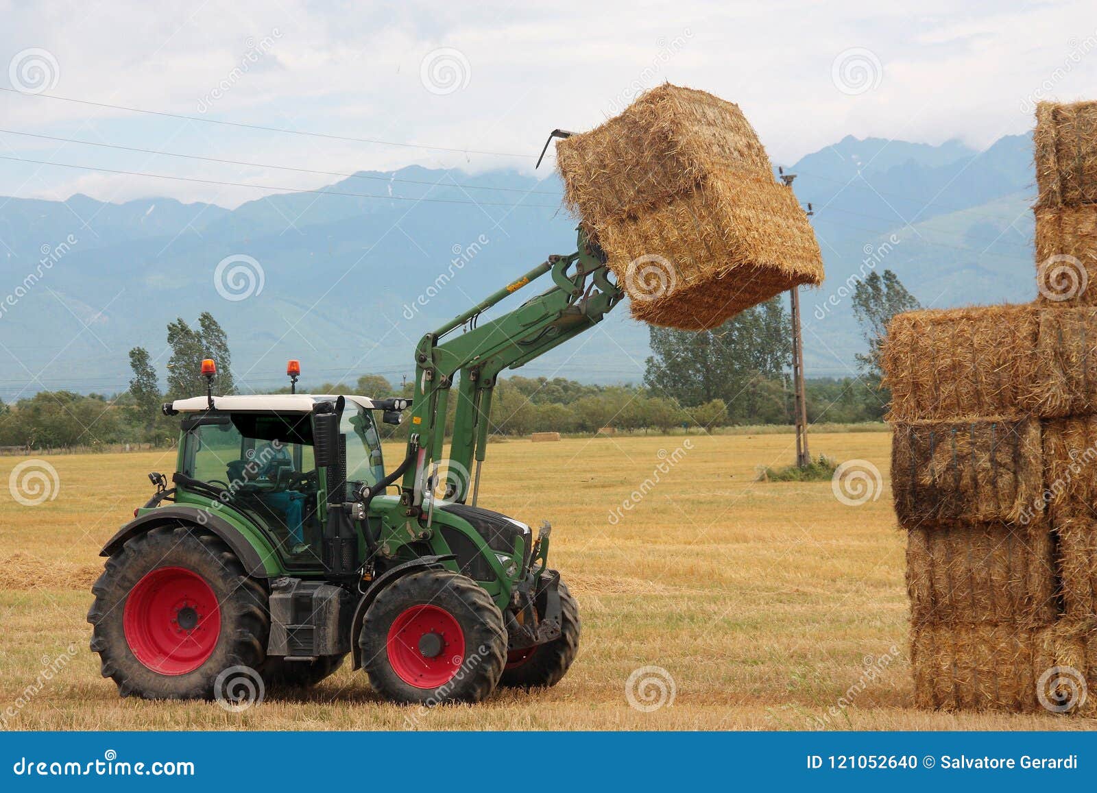 Hay Tractor Stacking Hay Bales Stock Photo - Image of agriculture ...