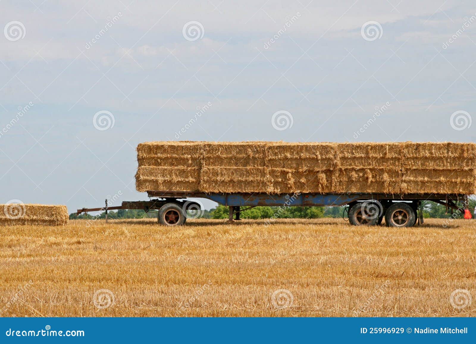 Hay Trailer in Field with Blue Sky Stock Image - Image of straw, bale ...