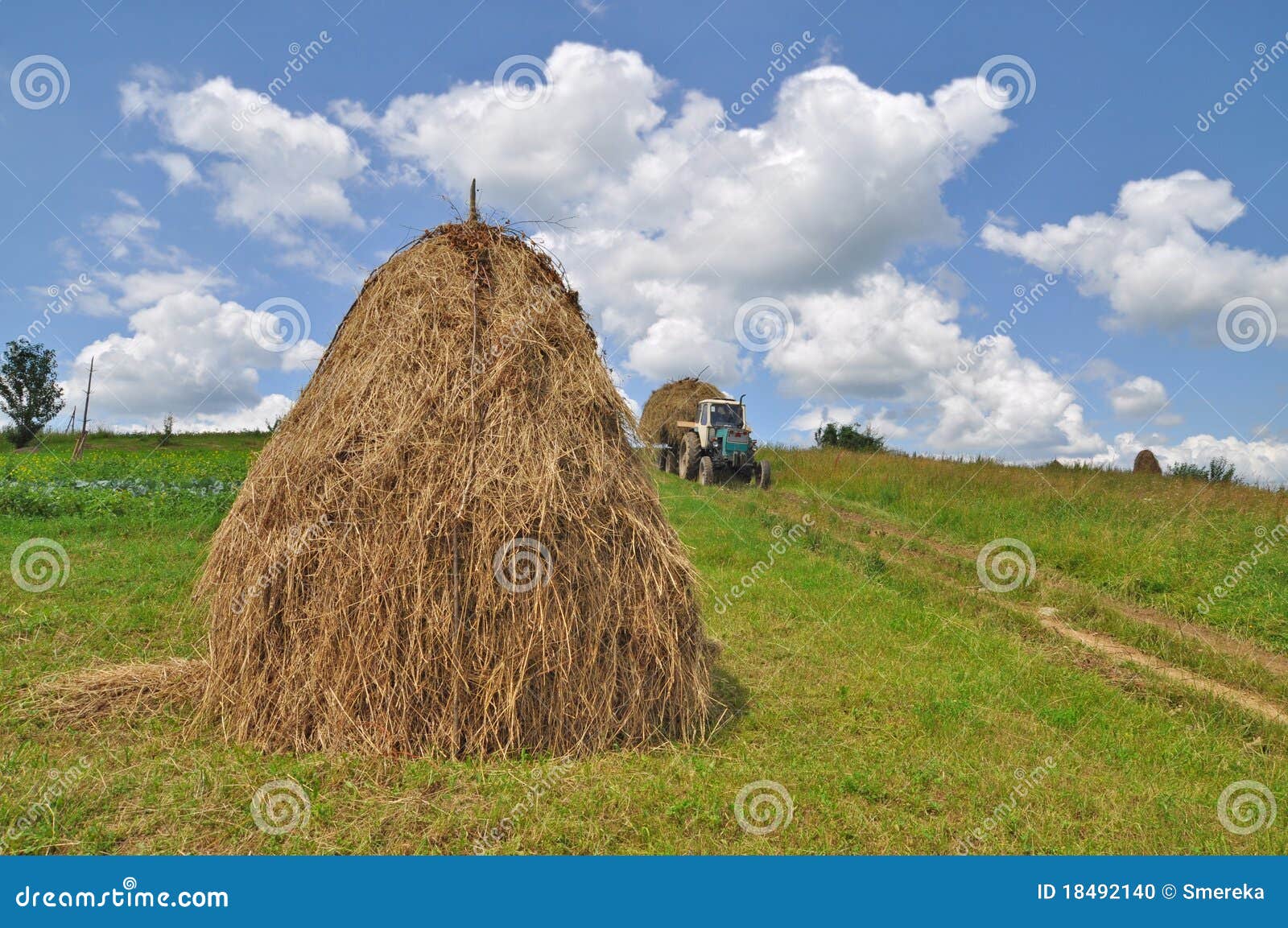 Hay transportation stock photo. Image of forage, nature - 18492140