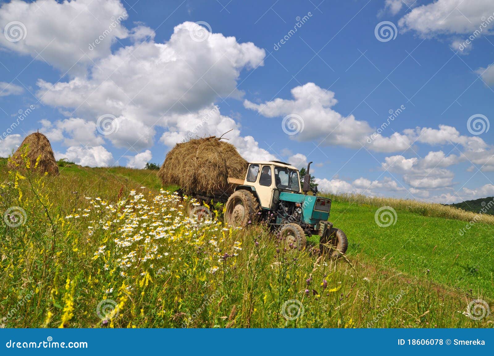 Hay transportation stock photo. Image of field, haymaking - 18606078