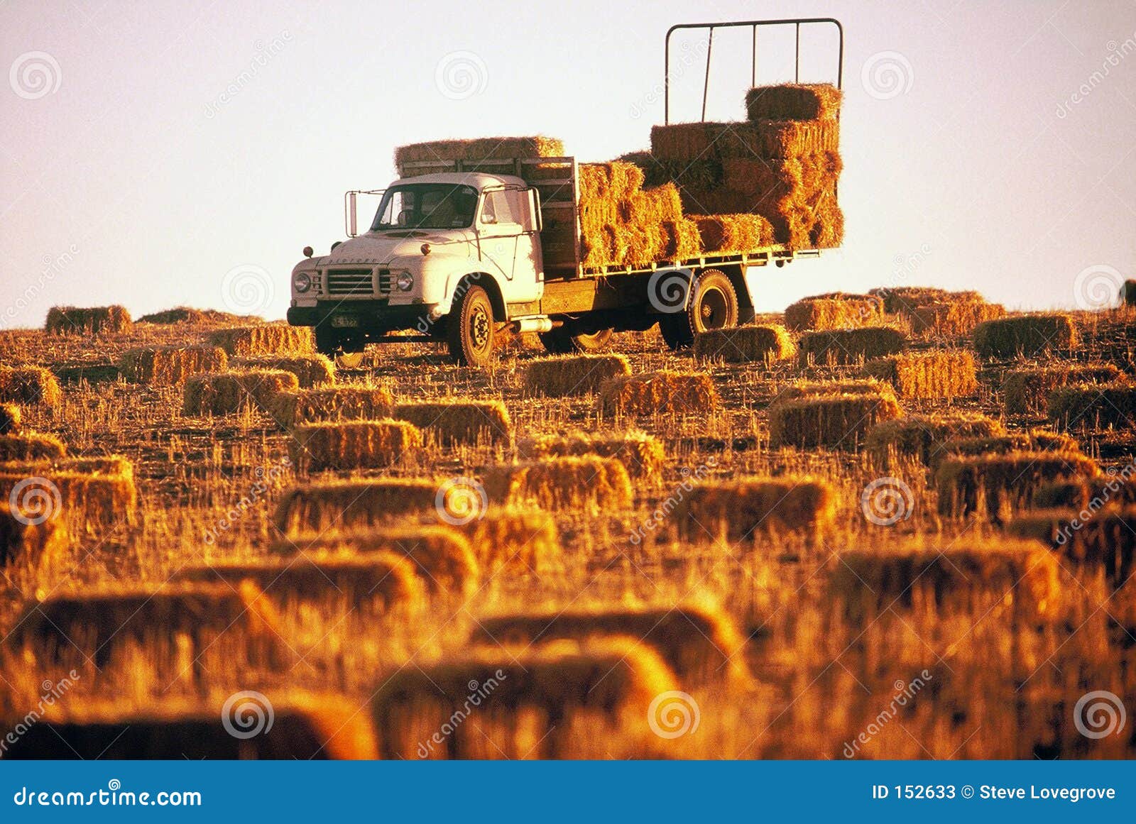 Hay Truck stock image. Image of haul, collect, harvest - 152633
