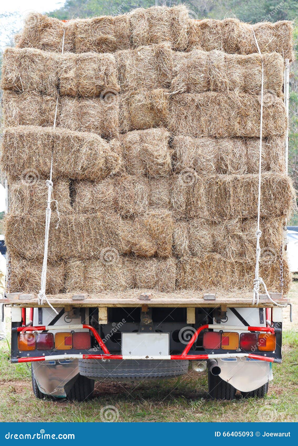 Hay Truck stock afbeelding. Image of achtergrond, gewas - 66405093