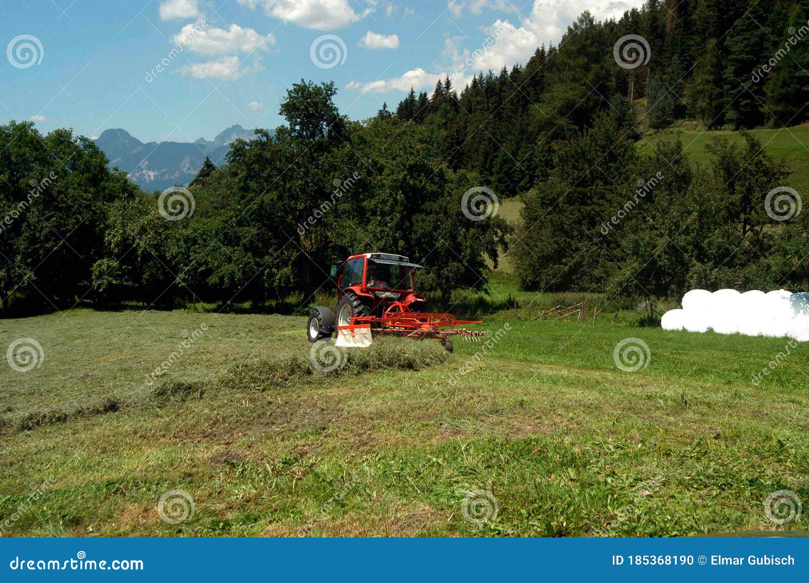 Hay Turning Machine in Agriculture Stock Photo - Image of agricultural ...