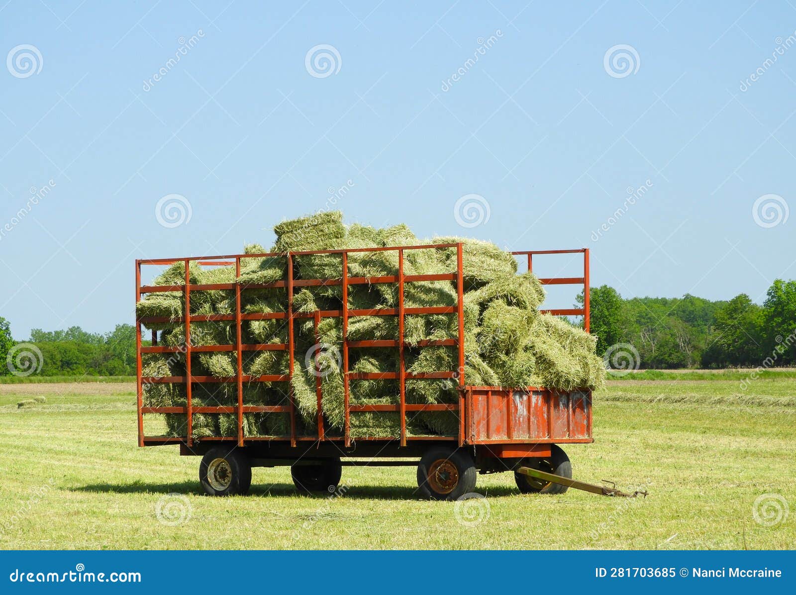 First Cutting Square Hay Bales in Red Hay Wagon Stock Image - Image of ...