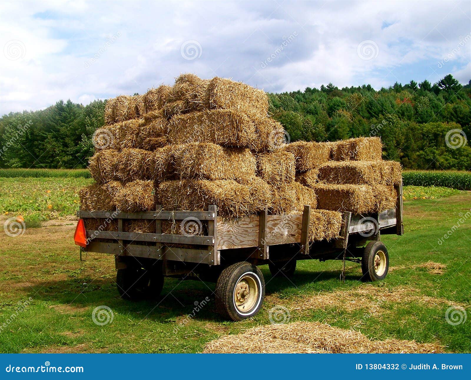Hay Wagon With Seats