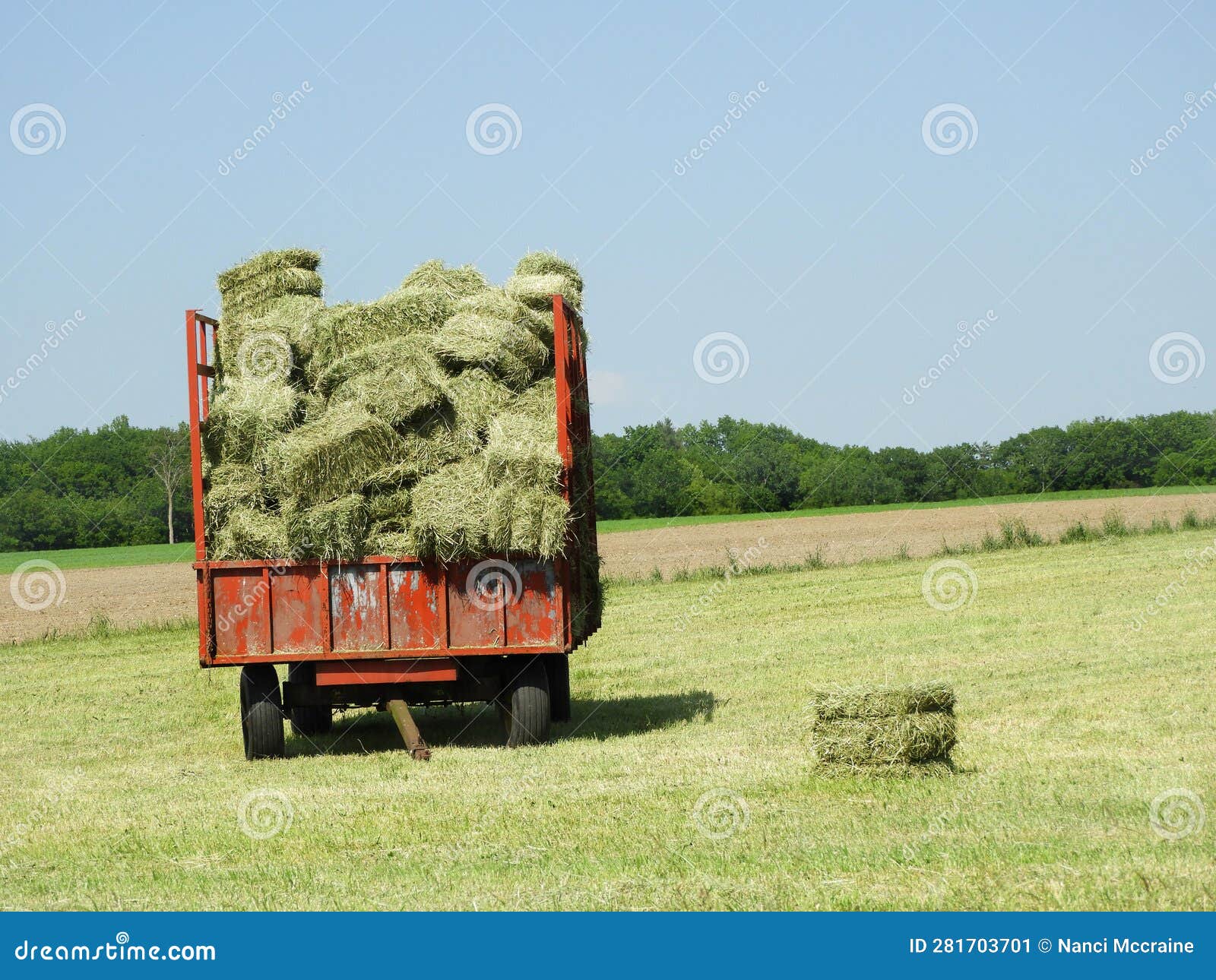 Hay Wagon Loaded and Ready for Barn Storage Stock Image - Image of ...