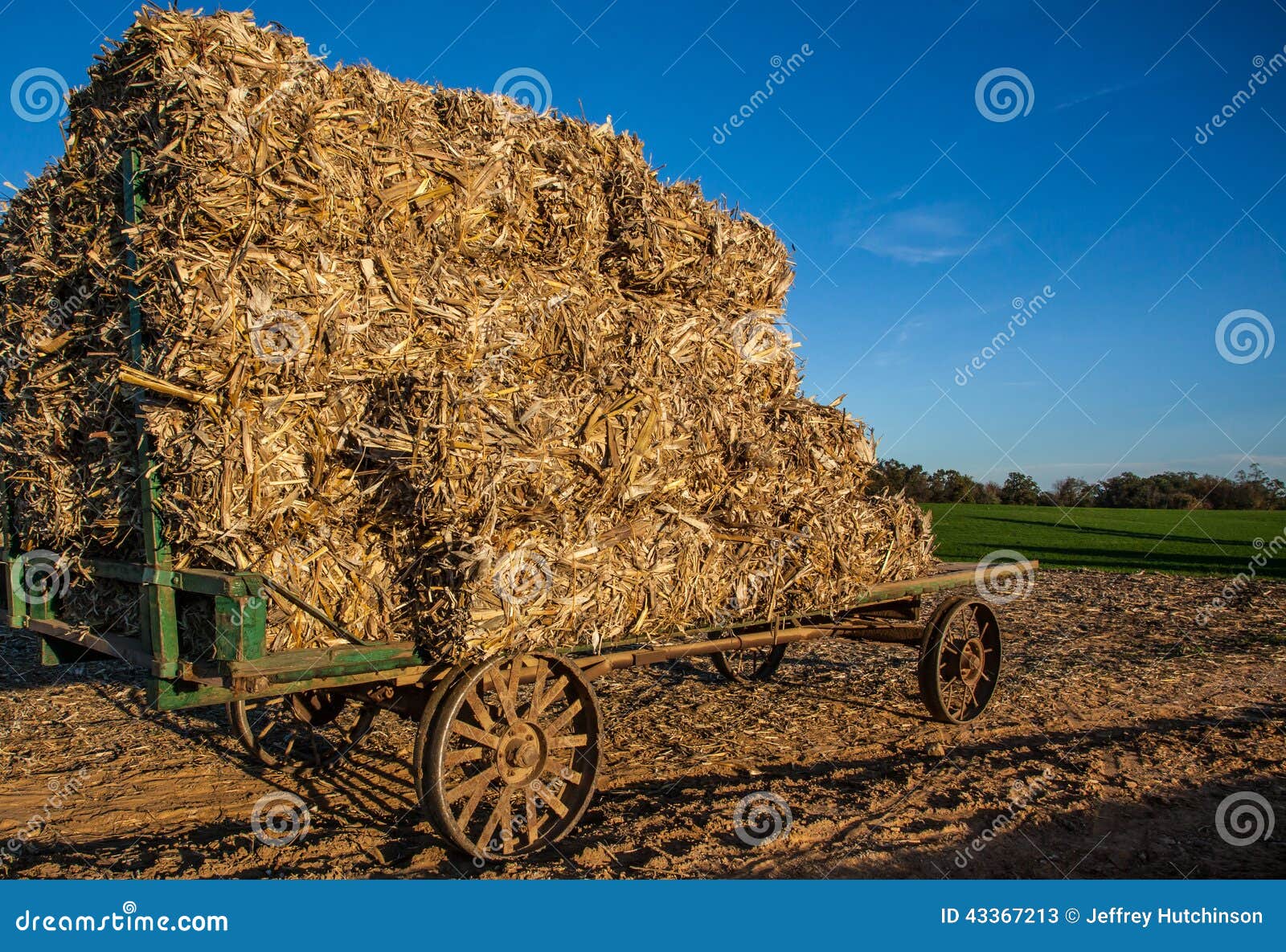Hay wagon stock image. Image of growth, agricultural - 43367213